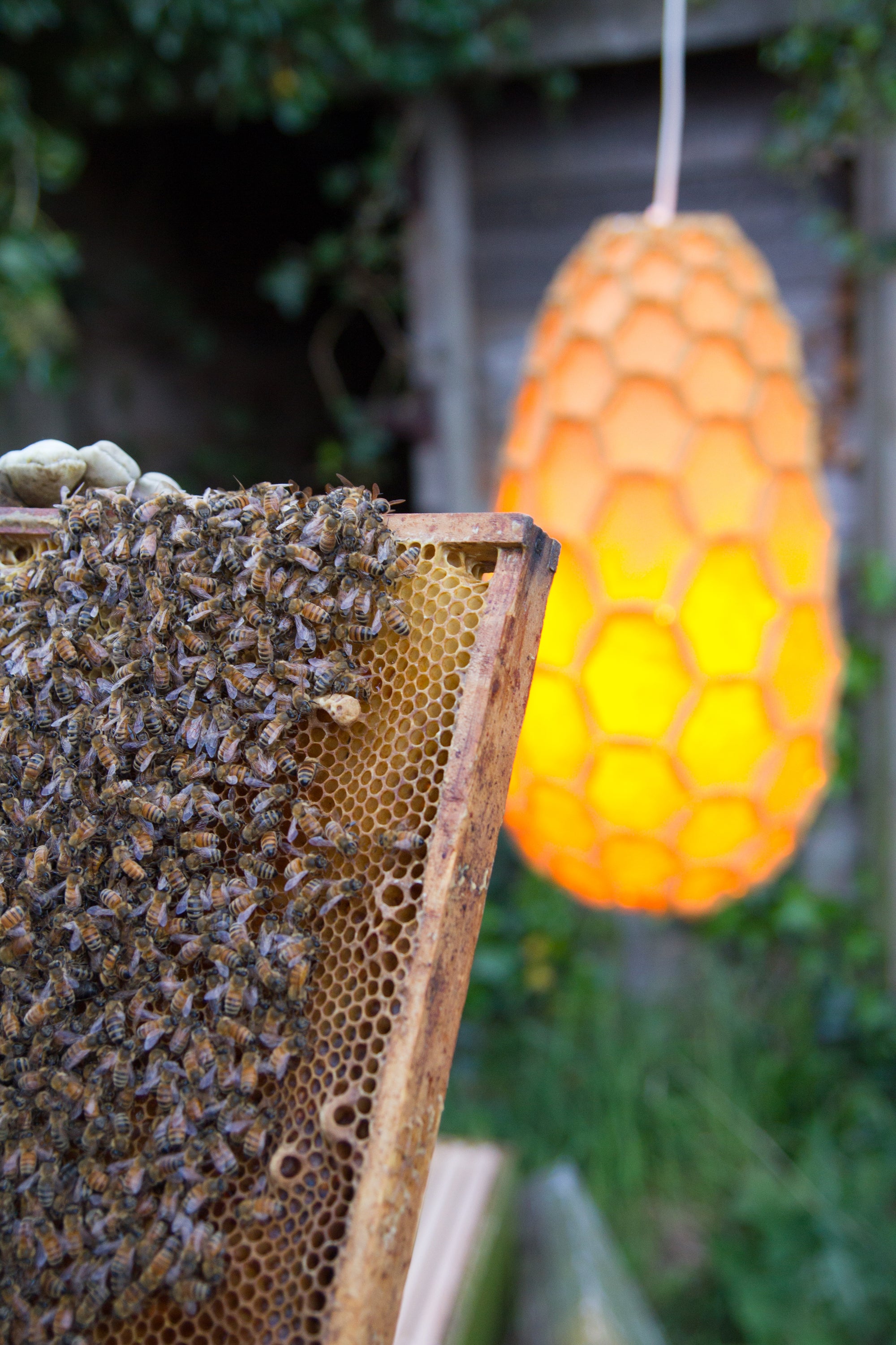 Nectar Full Shade - NEW COLOURS - Mr Ralph Lighting